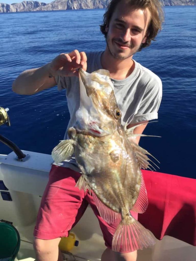 SPAIN - MALLORCA/ALCUDIA - Global Fishing Adventures