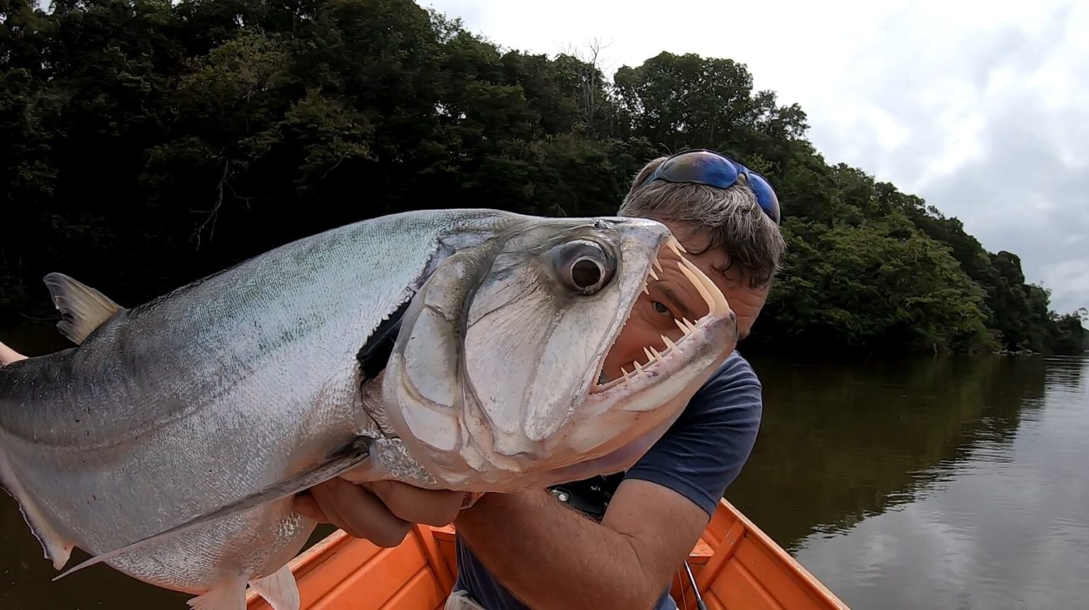 ⤥ Fishing trips Guyana ≋ organization fishing Travel & Tour