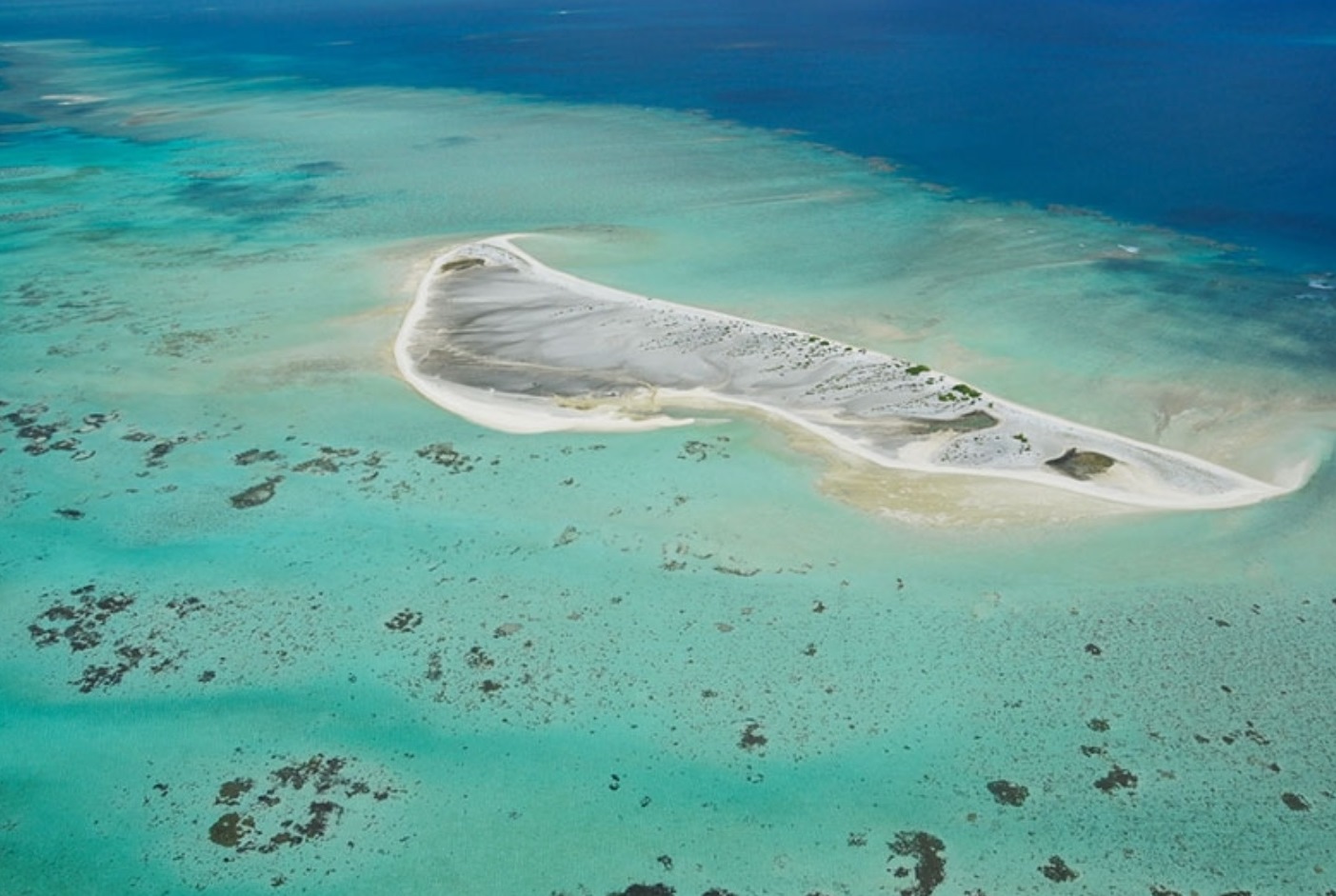 Tour in November to St. Brandon to the Cargados Carajos Islands - one ...